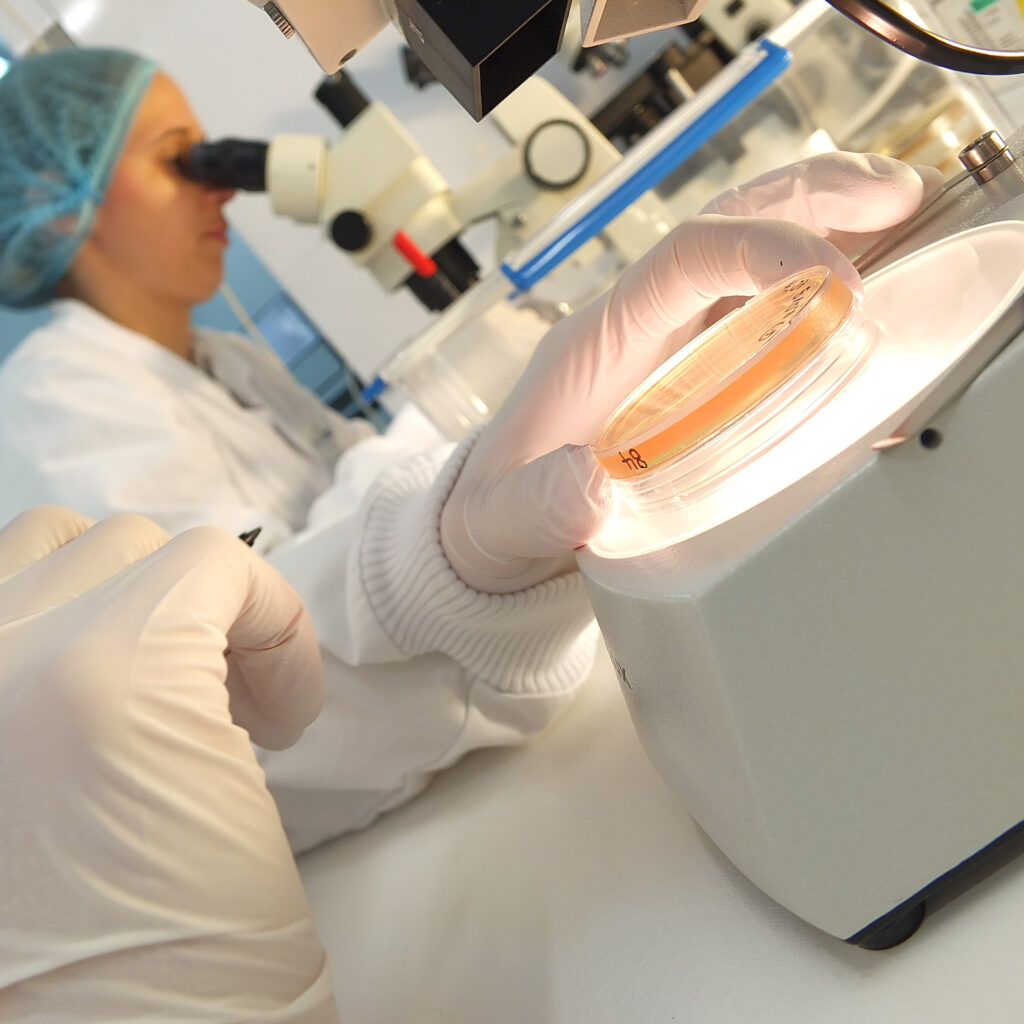 Clean cells | Microbiology testing