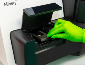 Clean cells | Analytical development