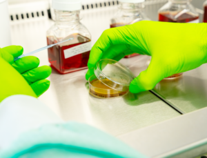 Clean cells | Cell-Based Food