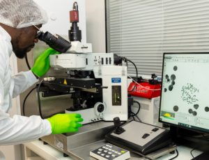 Clean cells | Biologics identity testing