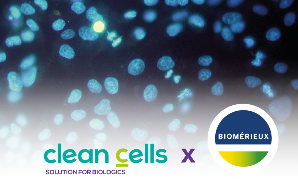 Clean Cells | A cGMP expert for the safety of your biological products