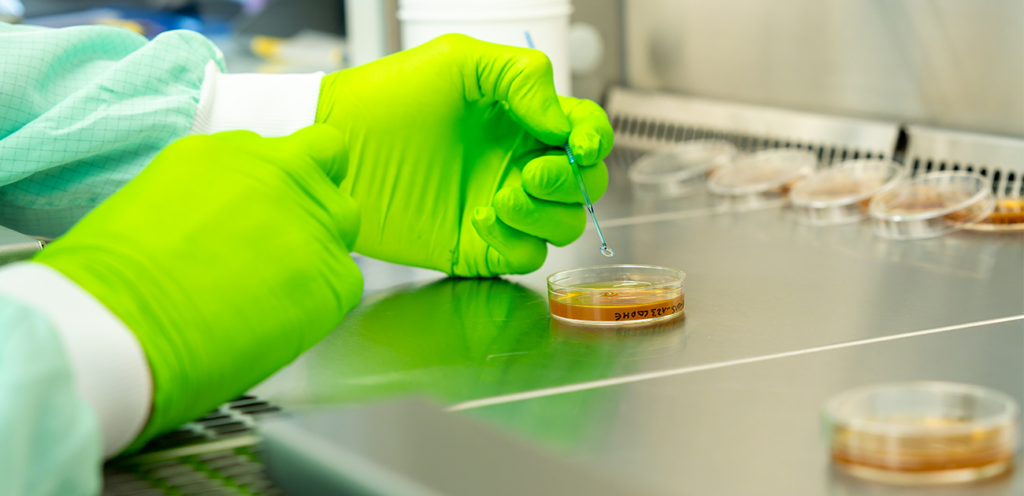 Clean Cells | A cGMP expert for the safety of your biological products